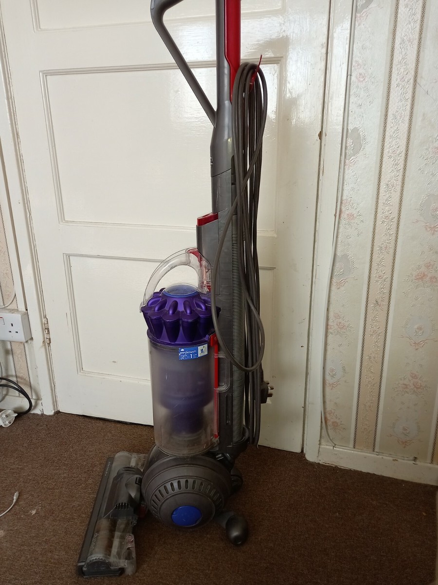 Dyson Dc40 Animal