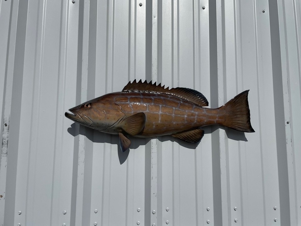 32" Black Grouper Half Mount Fish Replica - In Stock & Ready to Ship | eBay