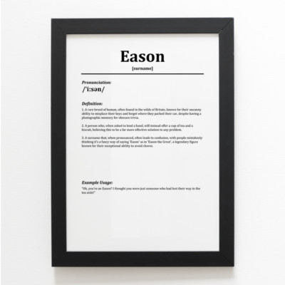 A3 PRINT - Eason - Funny Humorous Family Surname Definition | eBay ...