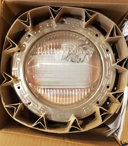 Pentair 120V, 100FT Cord White Pool Light 600112 | eBay