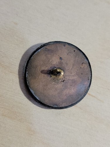 Rare Antique Button, 3D Theodore Roosevelt Campaign Button | eBay