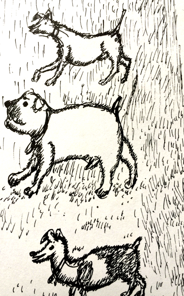 Kurt MÜHLENHAUPT House Mixed Breeds HAND-SIGNED, Lithograph, with Frame ...