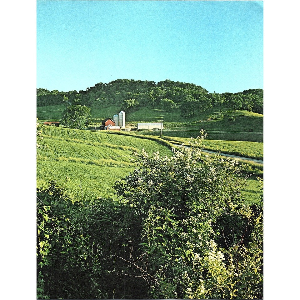 A Rural Country Scene 1970s Retro Kitsch Wall Art Print SF8 | eBay