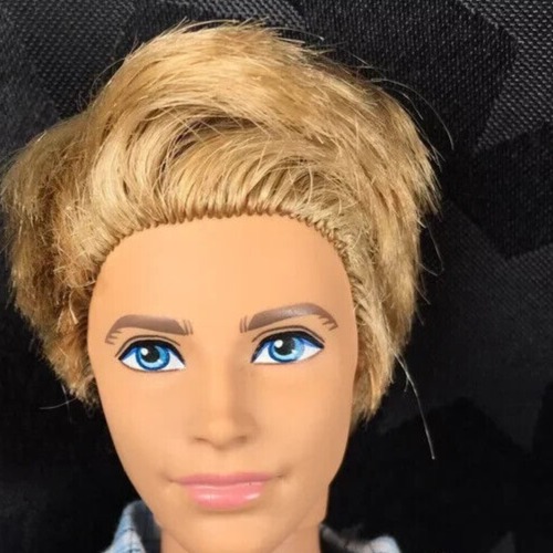 BARBIE LIFE IN THE DREAMHOUSE TALKING KEN DOLL HEAD | eBay