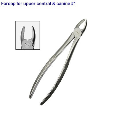 Dental Surgical Extraction forceps Upper Central & Canine #1 Tooth ...