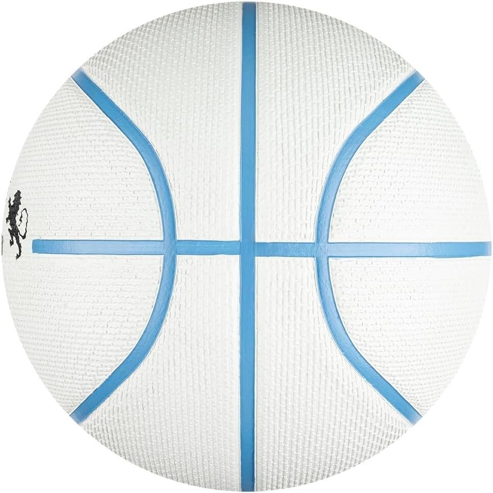 Nike Ball Basketball Playground 8P 2.0 LB Lebron James Größe 7 Strive ...