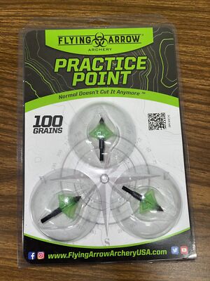 Flying Arrow Archery Practice Point 100 Gr | eBay