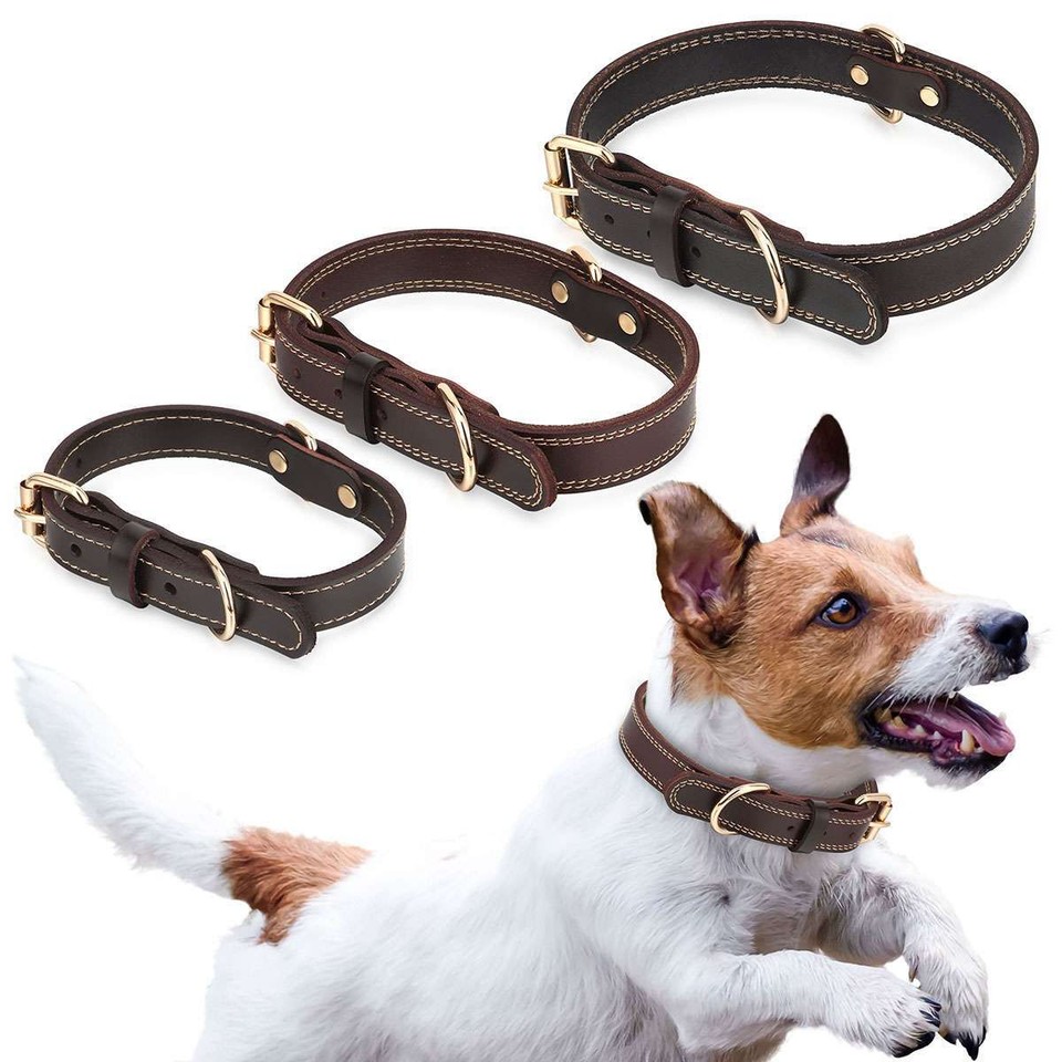 Genuine Leather Dog Collar Durable Alloy Hardware for Medium Extra ...