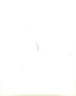 1964 Nightmare in the Sun Movie Photo Still Still Ursula Andress John ...