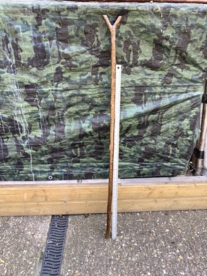 Good stout Hazel Thumb Stick Nice looking and functional | eBay UK