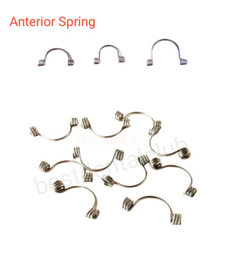 100Pcs Dental Anterior Spring Teeth Torque Rectangular Springs Door ...
