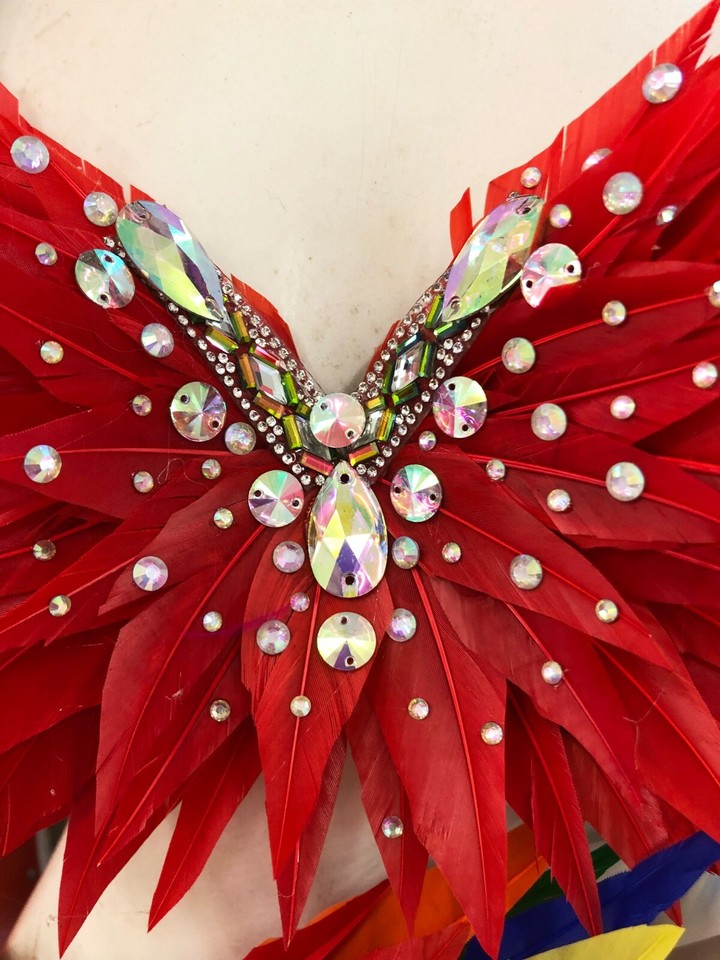 Da Neena FTG Feather Drag Bra Skirt Belt Gay Pride Parade Costume Set ...