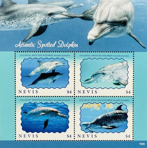 NEVIS ATLANTIC SPOTTED DOLPHIN STAMPS SHEET 2019 MNH WILDLIFE MARINE ...