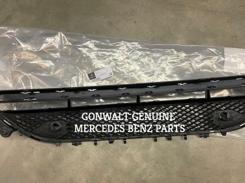 Genuine Mercedes Benz E350 450 400 53 AMG 4Matic Lower Grille OE ...
