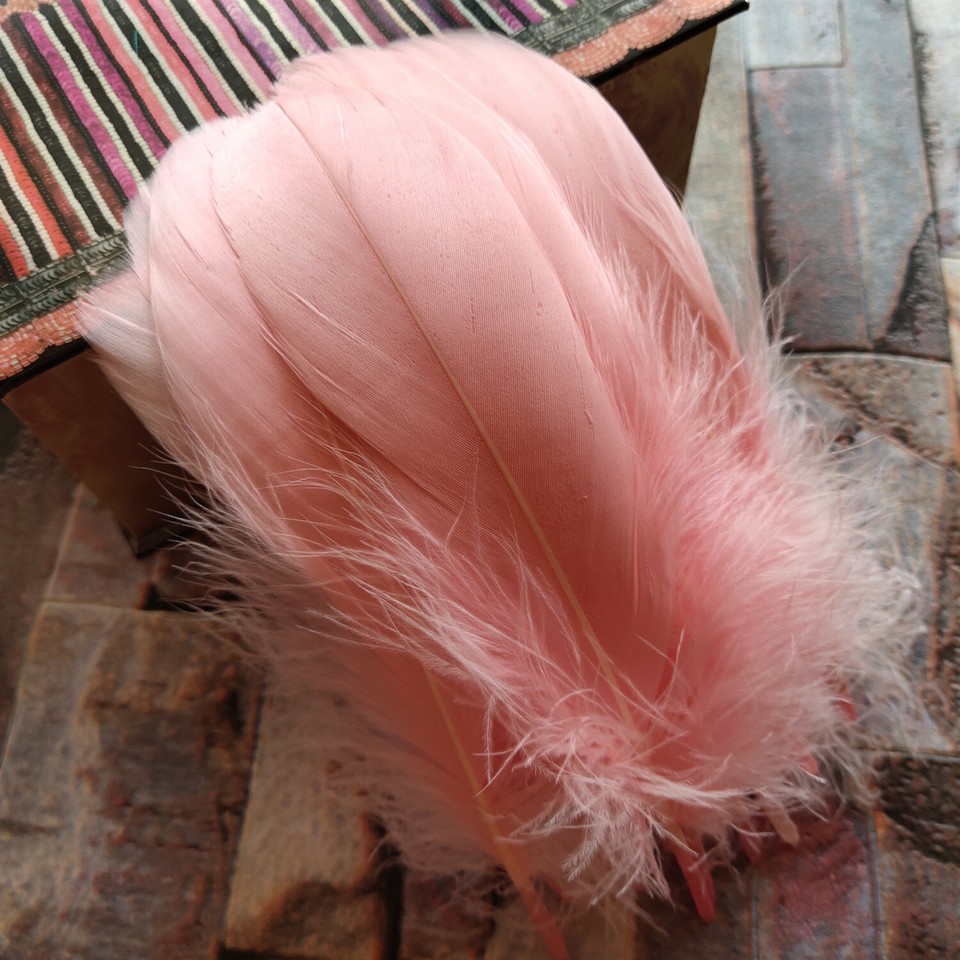 Wholesale 20-100 Pcs Pretty Natural Goose Feathers 12-18 cm/5-7 inches ...