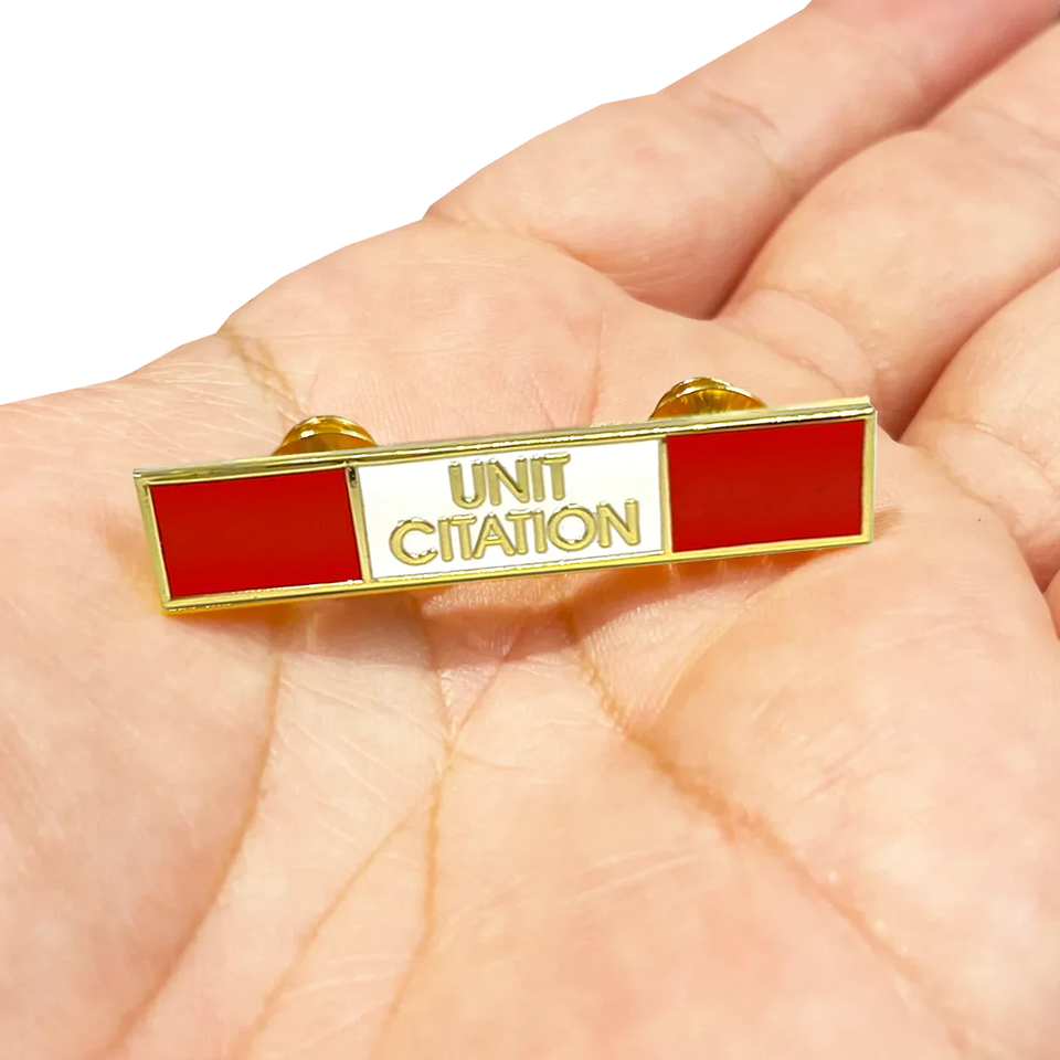 Commissioner's Unit Citation Commendation Bar Pin Reverse color scheme ...