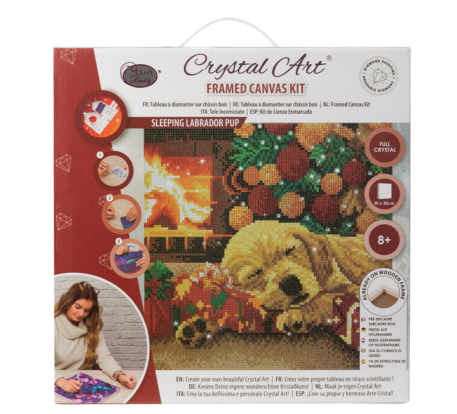 Craft Buddy Mounted Crystal Art 5D Diamond Painting Kit 30cm x 30cm New ...