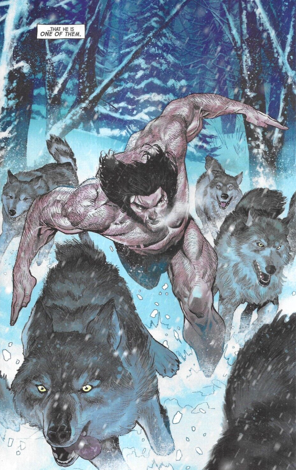 Wolverine Comic 1 First Print Cover E Negative Space Variant 2024 Ahmed ...