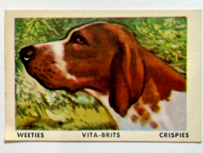 1958 Weeties Vita Brits Crispies Card - Popular Pets - No. 26 POINTER ...