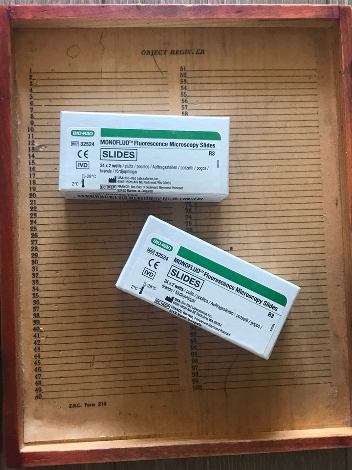 Antique Microbiology Hematology Mycology Pathology Wooden Slide Box | eBay