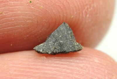 Meteorite NWA 8159 Achondrite Martian Augite Basalt - G456-0003 - 0.08g ...