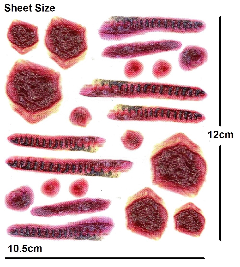 Halloween Zombie Scars Tattoos Fake Burns Blisters Boils Wound FX Face ...