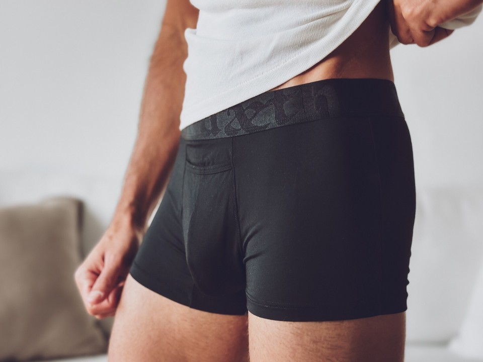 Men's Modal Trunk Underwear with Horizontal Fly | eBay