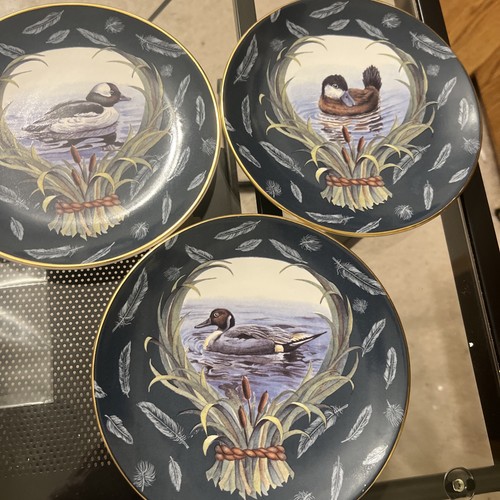 Rare National Wildlife Federation 3 Duck Plates | eBay