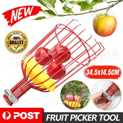 Red Horticultural Convenient Labor saving Fruit Picker Tool Apple ...