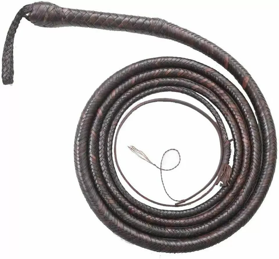 Premium Leather 10 Foot Handmade Bullwhip 16 Plait Equestrian Training ...