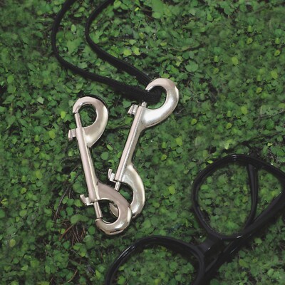 6Pcs Chain Clips Feed Buckets Carabiners Durable Bolt Hooks Trigger ...