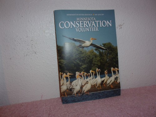 MINNESOTA CONSERVATION VOLUNTEER MAGAZINE "BACKWATER BIRDS " MAY / JUNE ...