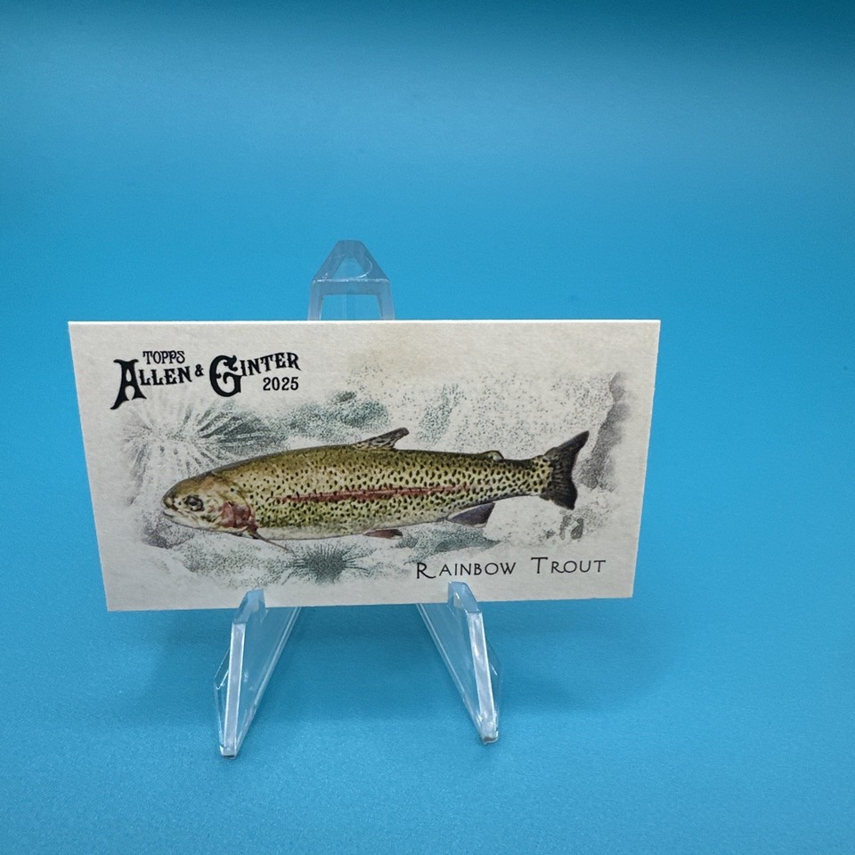 2025 Topps Allen & Ginter Mini FISH FROM GLOBAL WATERS Swordfish ...