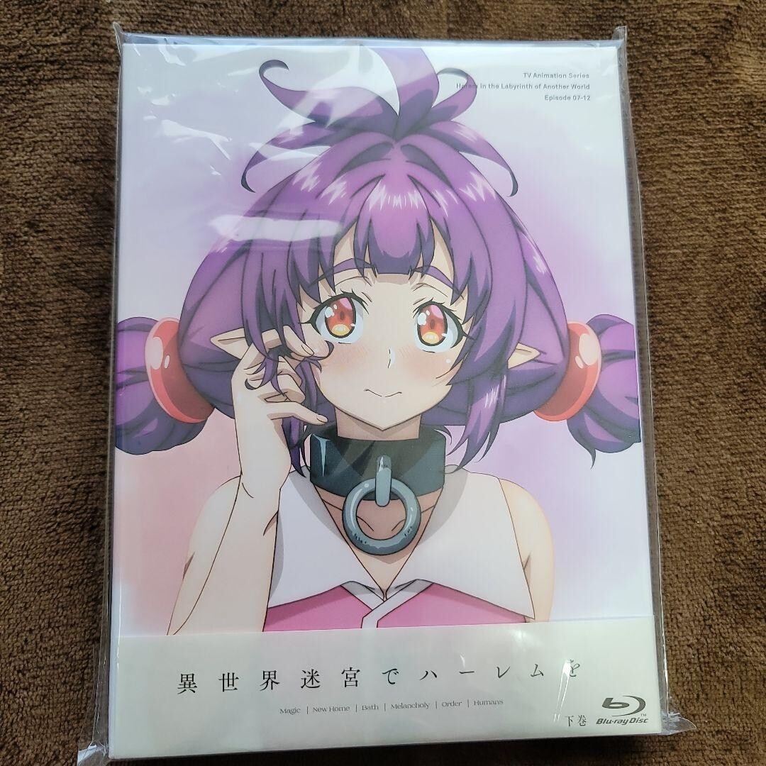 Harem in the Labyrinth of Another World DVD Box Vol.2 Booklet New from Japan | eBay