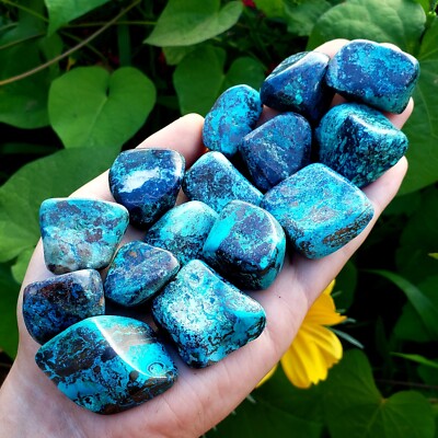 Shattuckite Tumbled & Hand Polished Natural Healing Crystal Gemstones ...