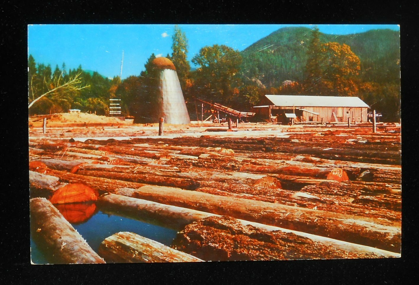 1950s Old Sawmill Lumber Floating Logs Unknown Location Postcard | eBay
