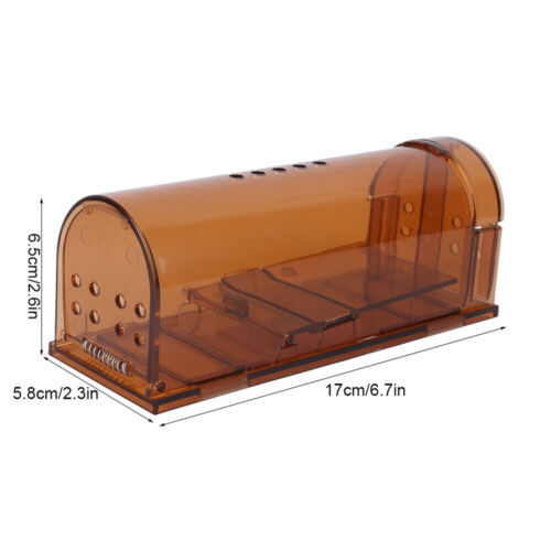 Steel Traps In Vintage Hunting Traps for sale | eBay