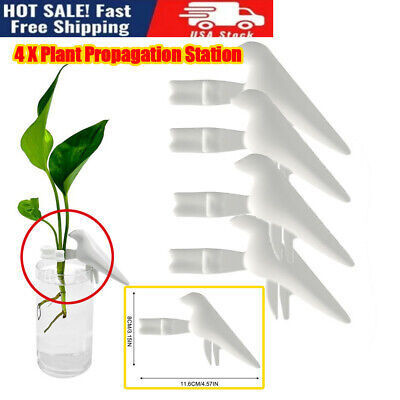 4 Pack Plant Propagation Station,Plant Support for Cuttings,Shoots ...