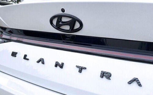 Carbon Fiber Front Rear Emblem Letter Logo Badge 10X For Hyundai ...