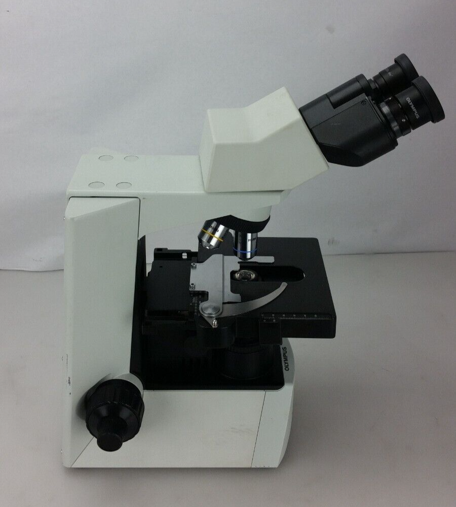 Buy Olympus CX31 Olympus CX31RBSF Microscope online | eBay