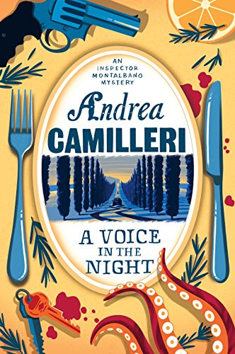 A Voice in the Night: Andrea C - VERY GOOD | eBay