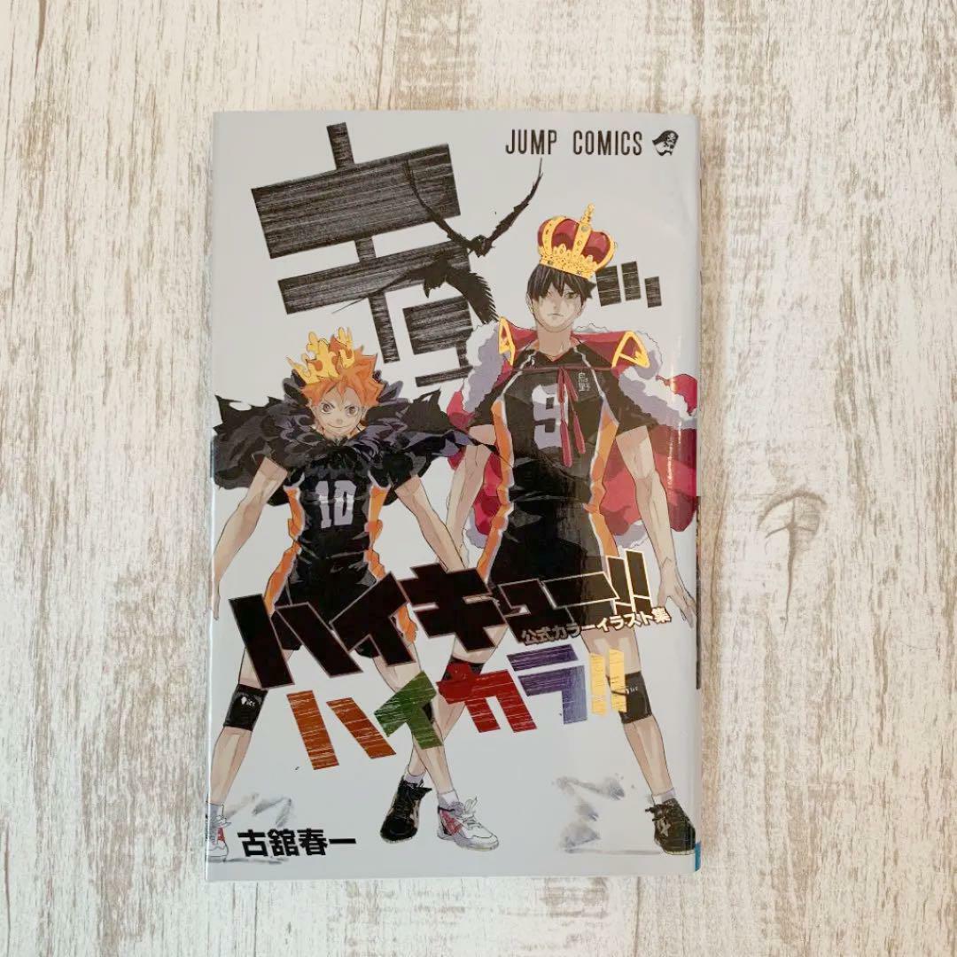 Haruichi Furudate: Haikyuu !! (Haikyu !!) Official Color Art Book Japan ...