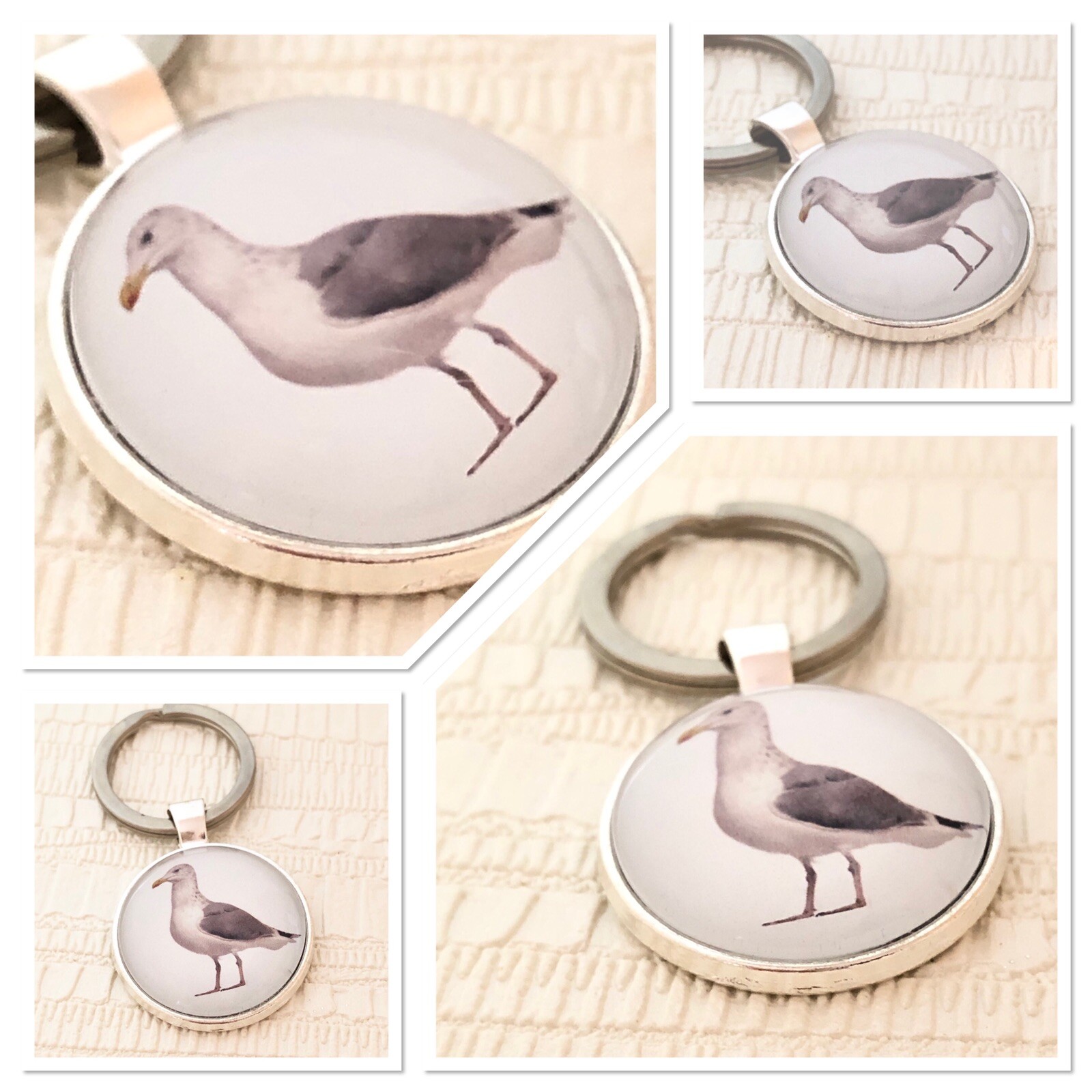 Seagull sea bird seaside gull Wildlife keyring key ring | eBay UK