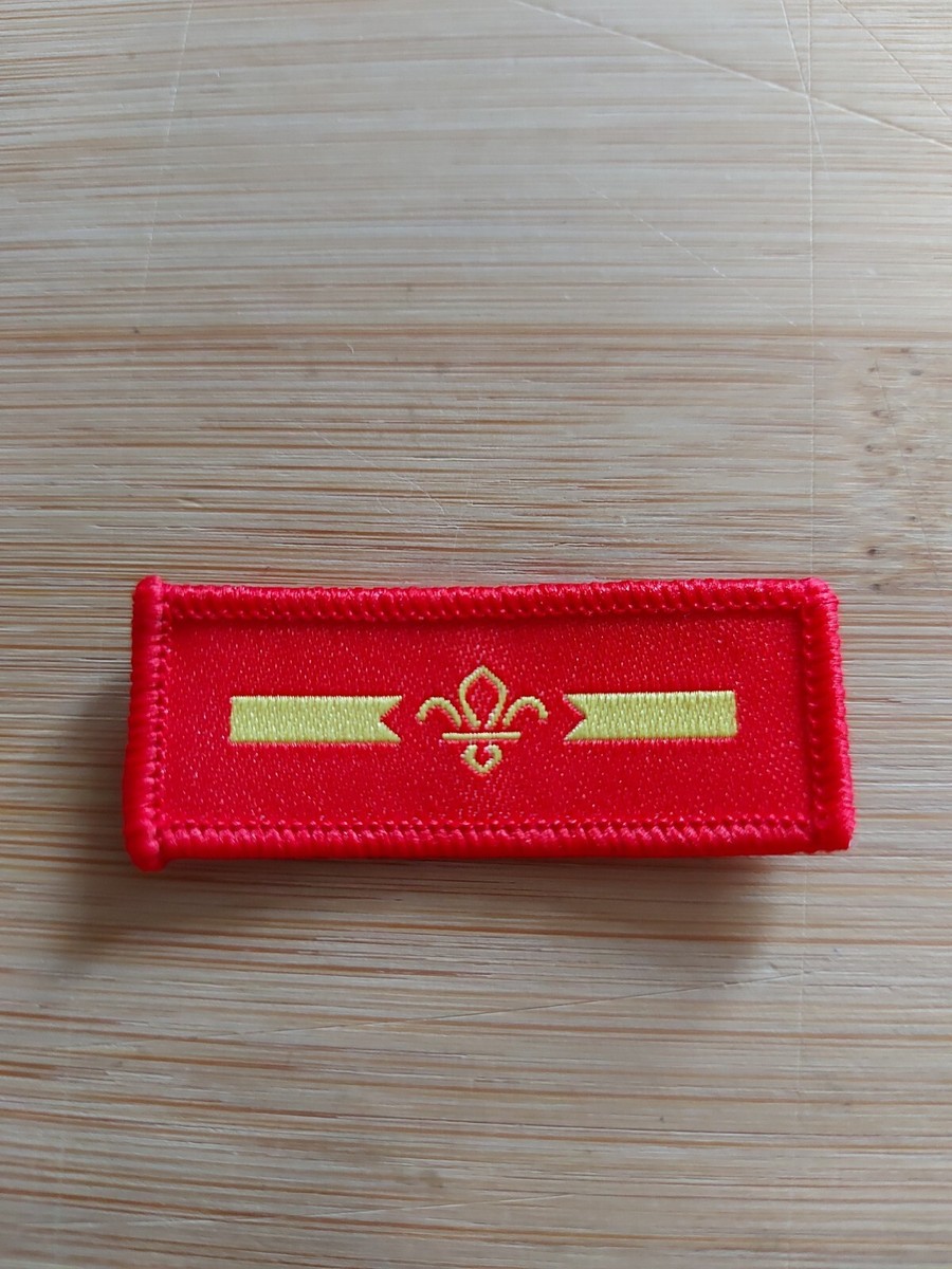 Cub Scout Adult Uniform Insignia When Can Adult Leaders Wear The BSA's