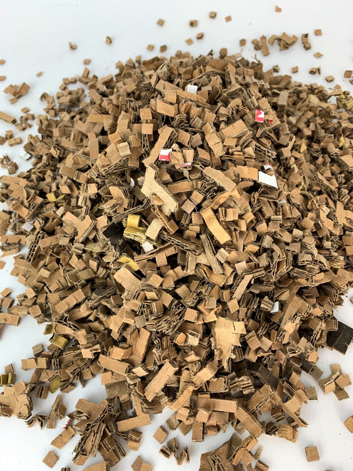 CLEAN Cardboard Shred: NO LABEL-TAPE, NO PLASTIC. Use for Pets, Packing ...