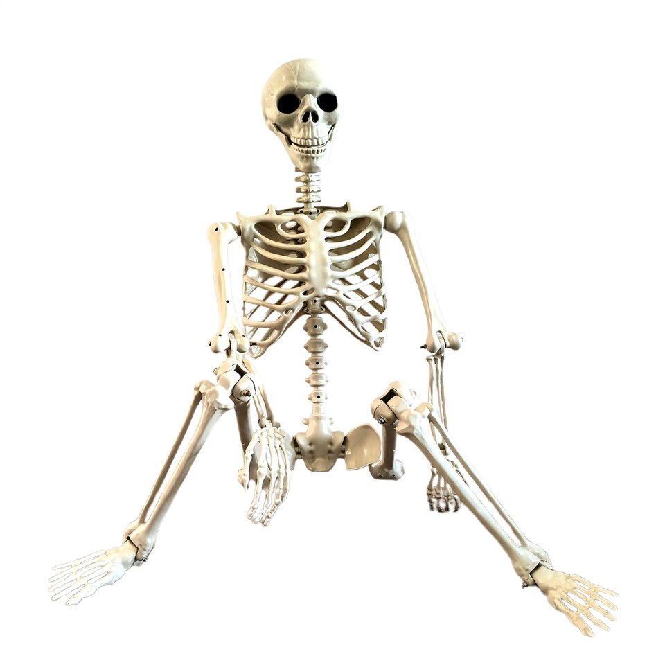 Halloween Poseable Skeleton Full Life Size Human Skeleton Decoration ...