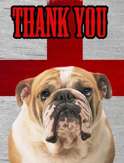 Thank You Bulldog