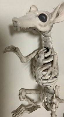 🔰 Hyde And Eek Halloween Decoration Rat Skeleton 7” Tall, 🆕 | eBay