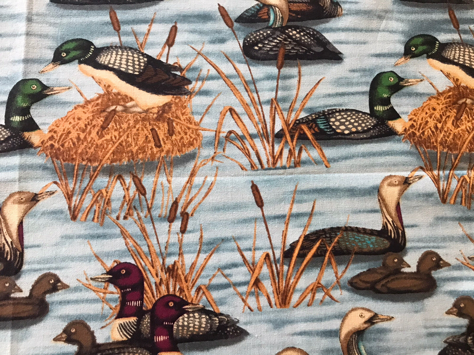COTTON FABRIC Loons Reeds Cattails Baby Loons Water FAT QUARTER | eBay