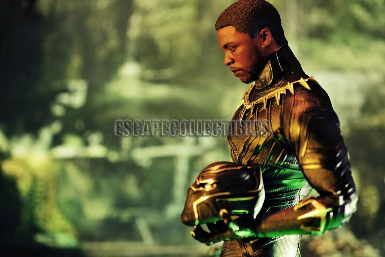 Black Panther - The King of Wakanda Hand Signed Print Pete Tapang | eBay